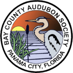 Bay County Audubon Society – We are a local organization dedicated to ...